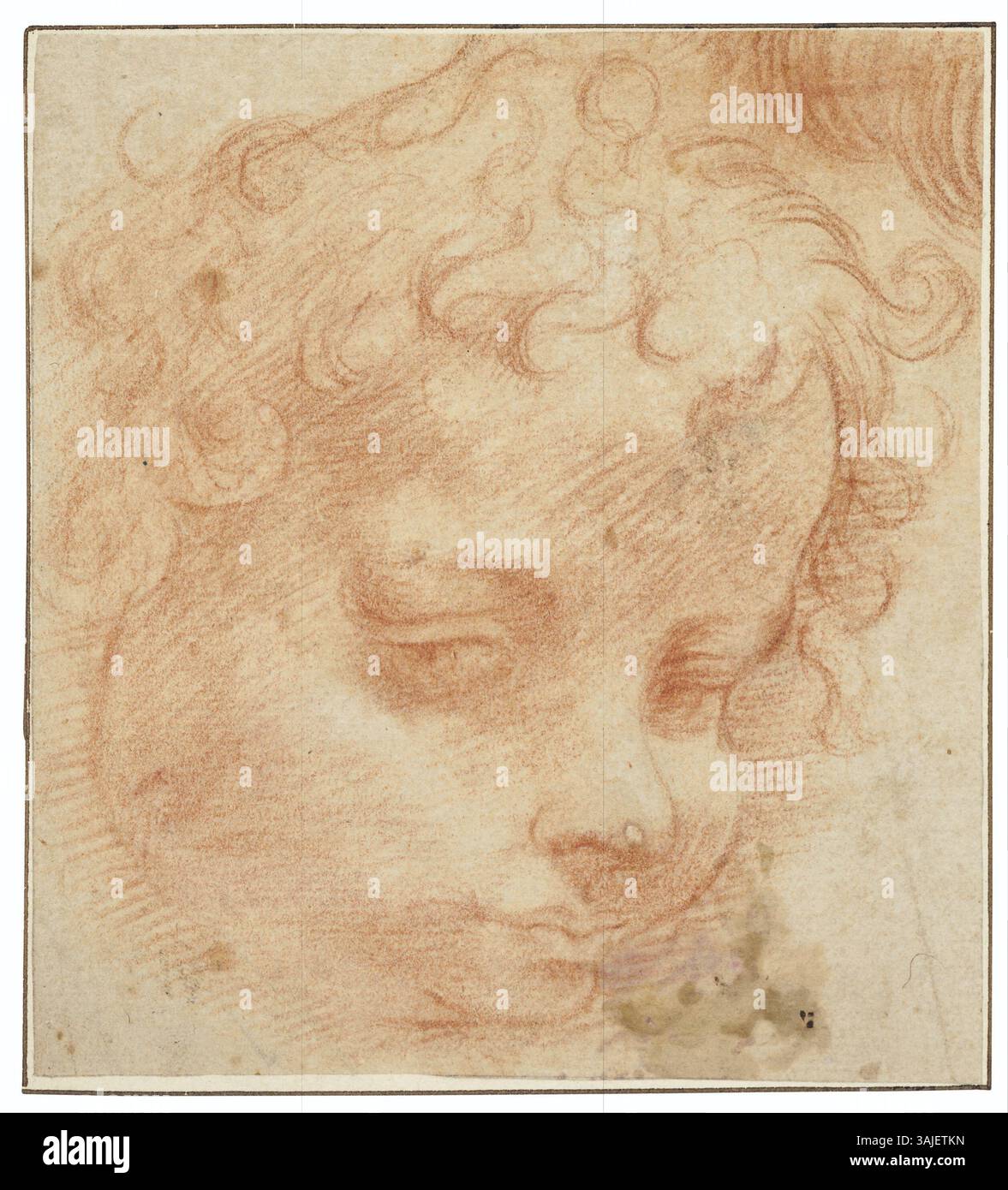 Michelangelo Anselmi’s 'Head of a Putto,' dating from between 1512 and ...