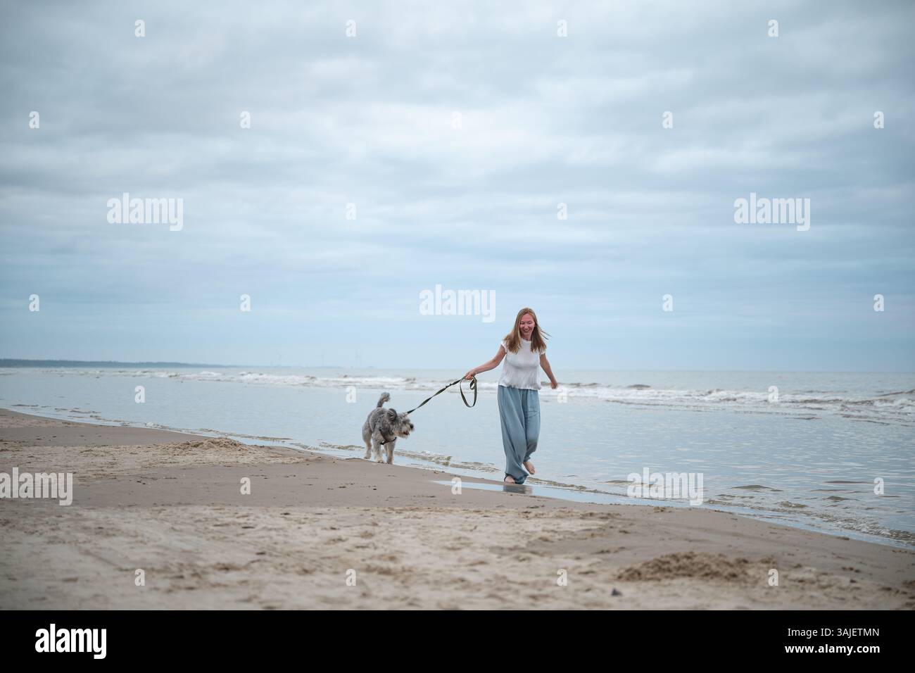 woman walking barefoot with her dog on beach of North sea, Denmark ...