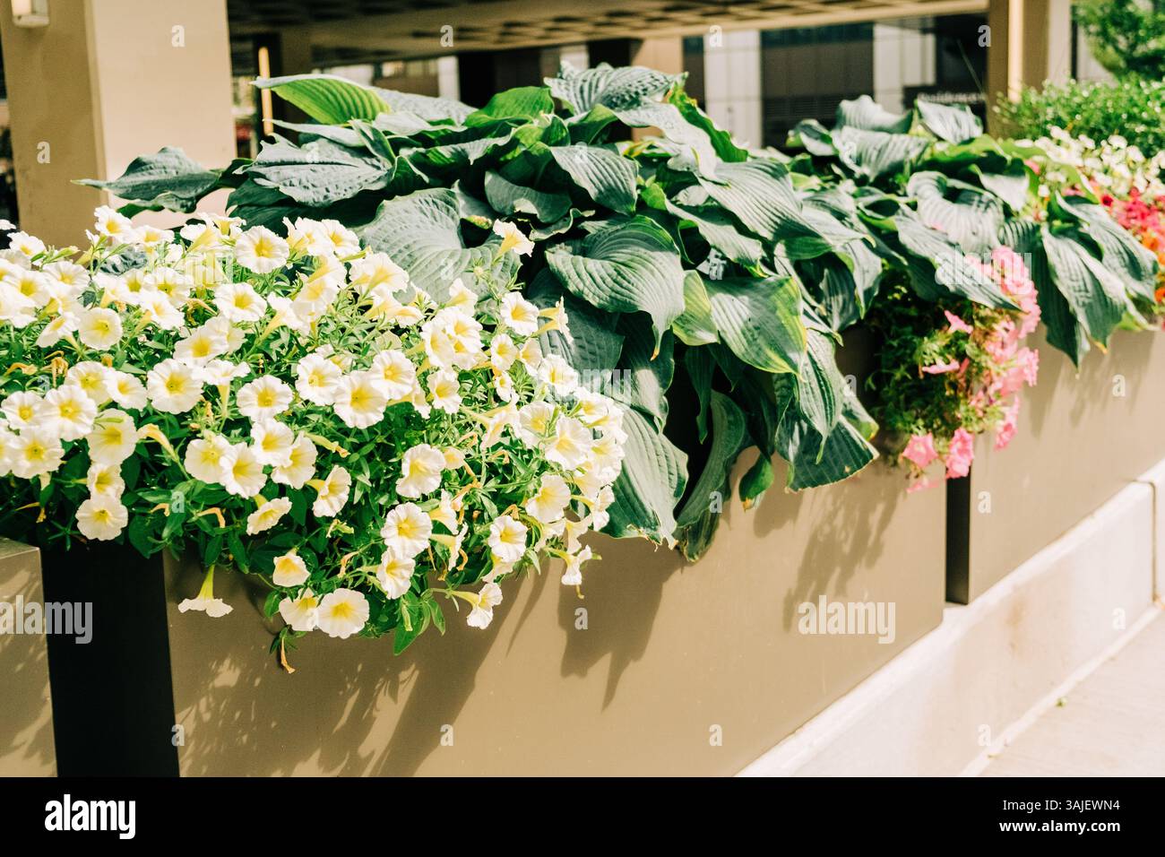 Vibrant boxes hi-res stock photography and images - Alamy