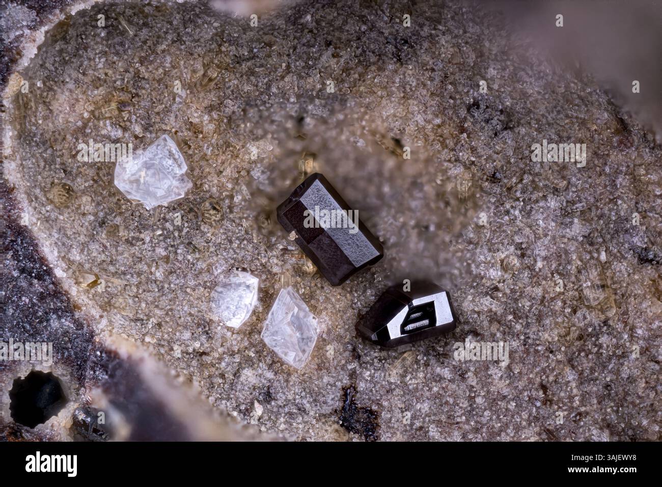 Dark Pseudobrookite crystals with clear Chabazite. Specimen from ...
