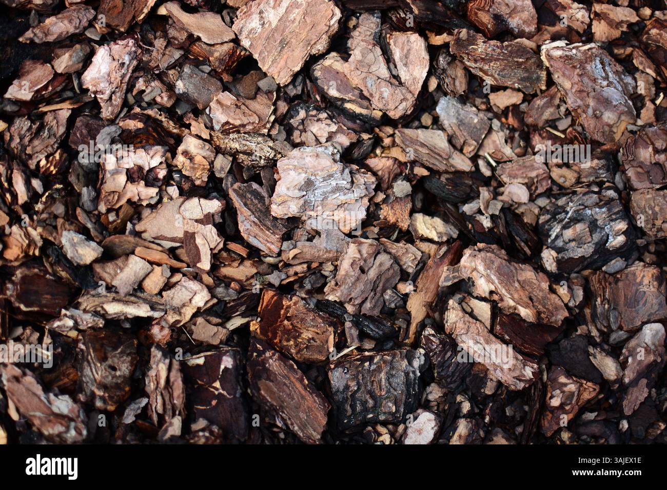 Various tree bark chips hi-res stock photography and images - Alamy