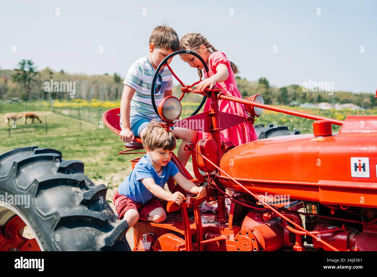 Three kids play on a bright red vintage tractor outdoors Stock Photo ...