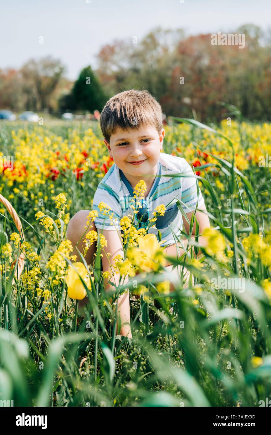 Boy kneeling in flower field with yellow and red tulips Stock Photo - Alamy