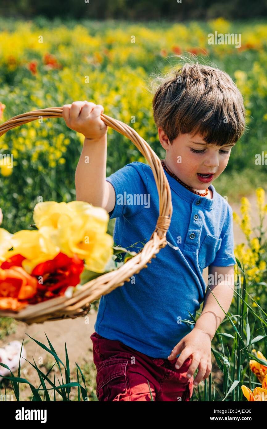 Boy holding flower basket in a colorful spring field Stock Photo - Alamy