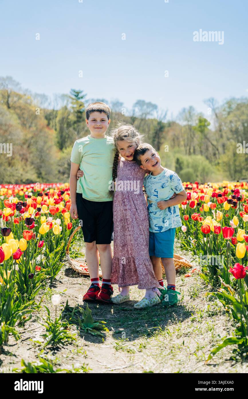 Three smiling kids stand close in a vibrant tulip field Stock Photo - Alamy