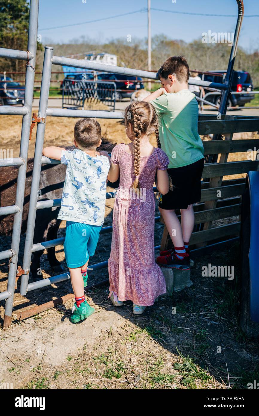 Three kids watch a pony through a metal fence on a sunny farm day Stock ...
