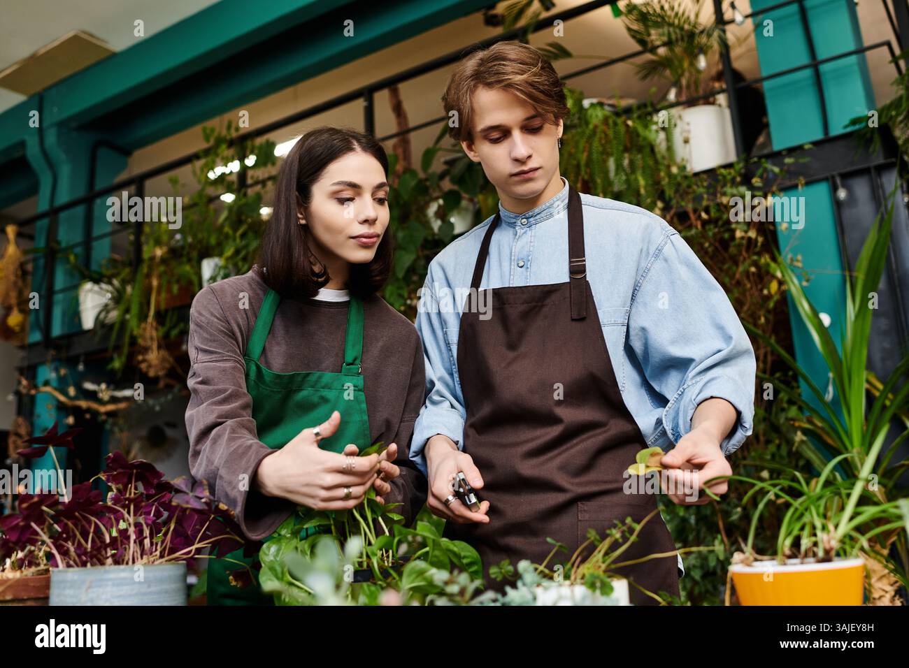Loving couple in a creative studio explore plant arrangements, sharing ...