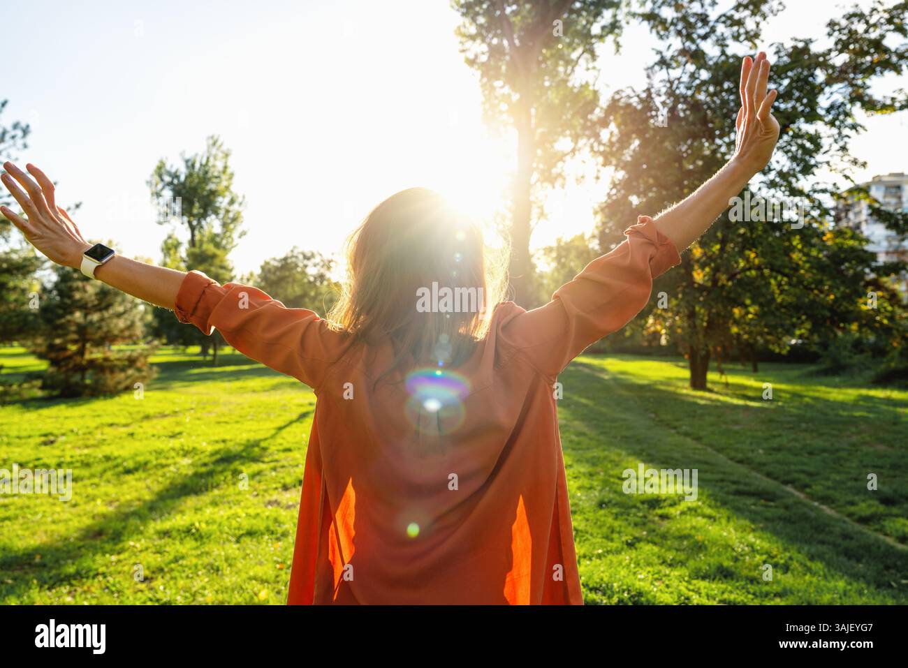 Rear view of woman with raised arms in nature basking in backlit ...