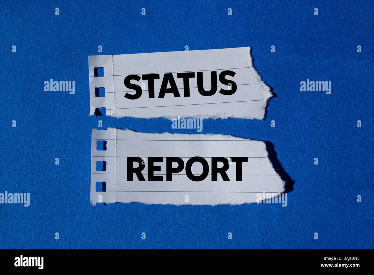 Status report message written on ripped torn white paper pieces on blue background. Conceptual ...