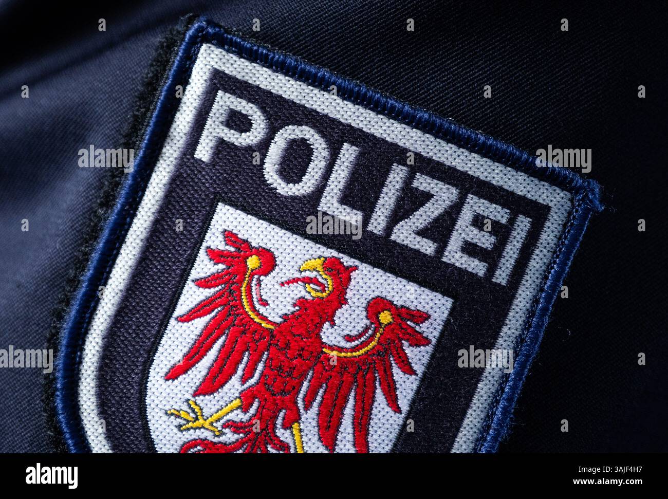 11 April 2025, Brandenburg, Potsdam: The Brandenburg police logo can be ...
