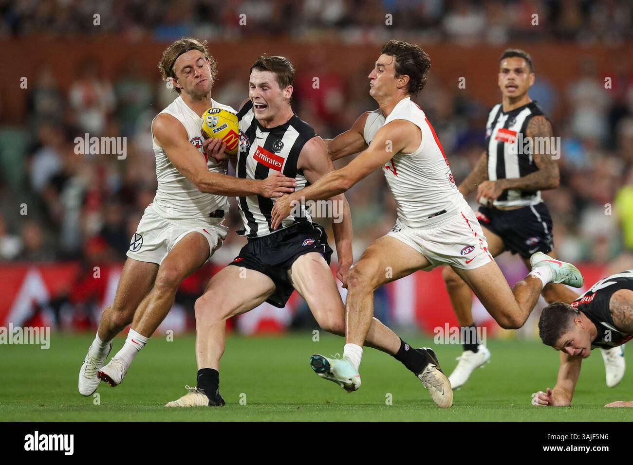 Adelaide, Australia. 11th Apr, 2025. Ned Long of the Magpies is tackled ...