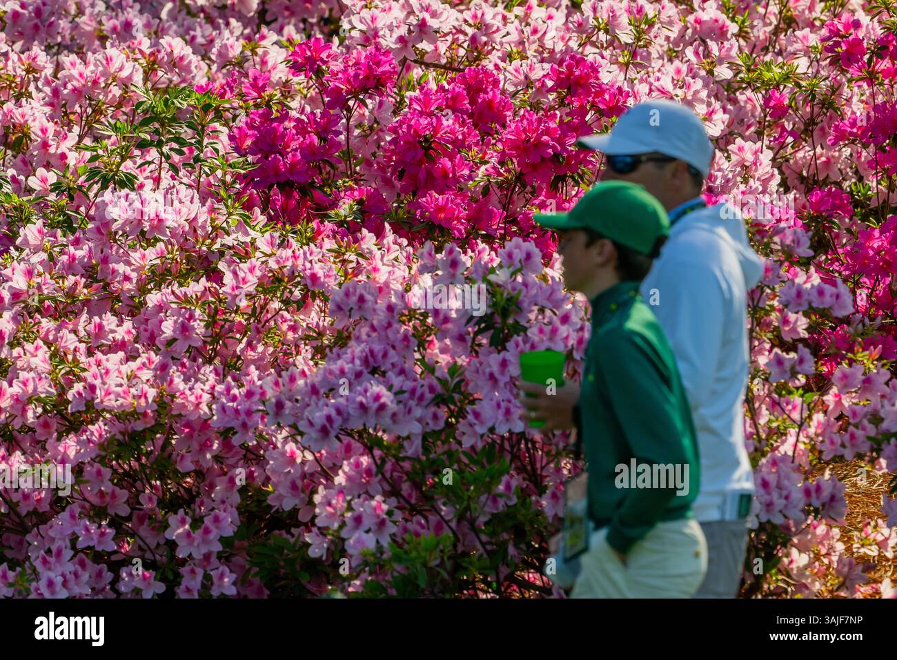 Augusta, United States. 10th Apr, 2025. 250410 Patrons walks by the ...