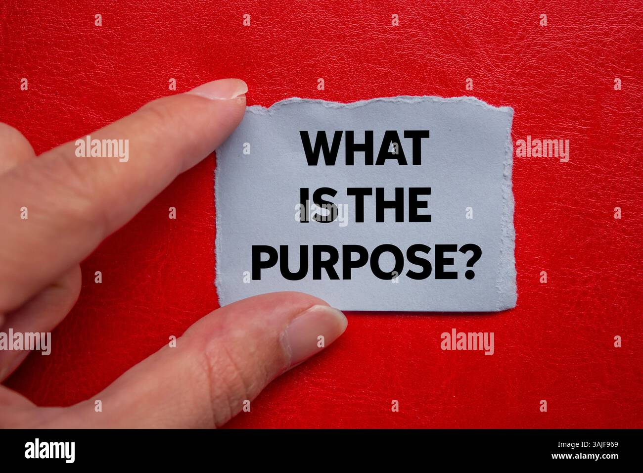 What is the purpose message written on ripped torn grey paper piece on ...