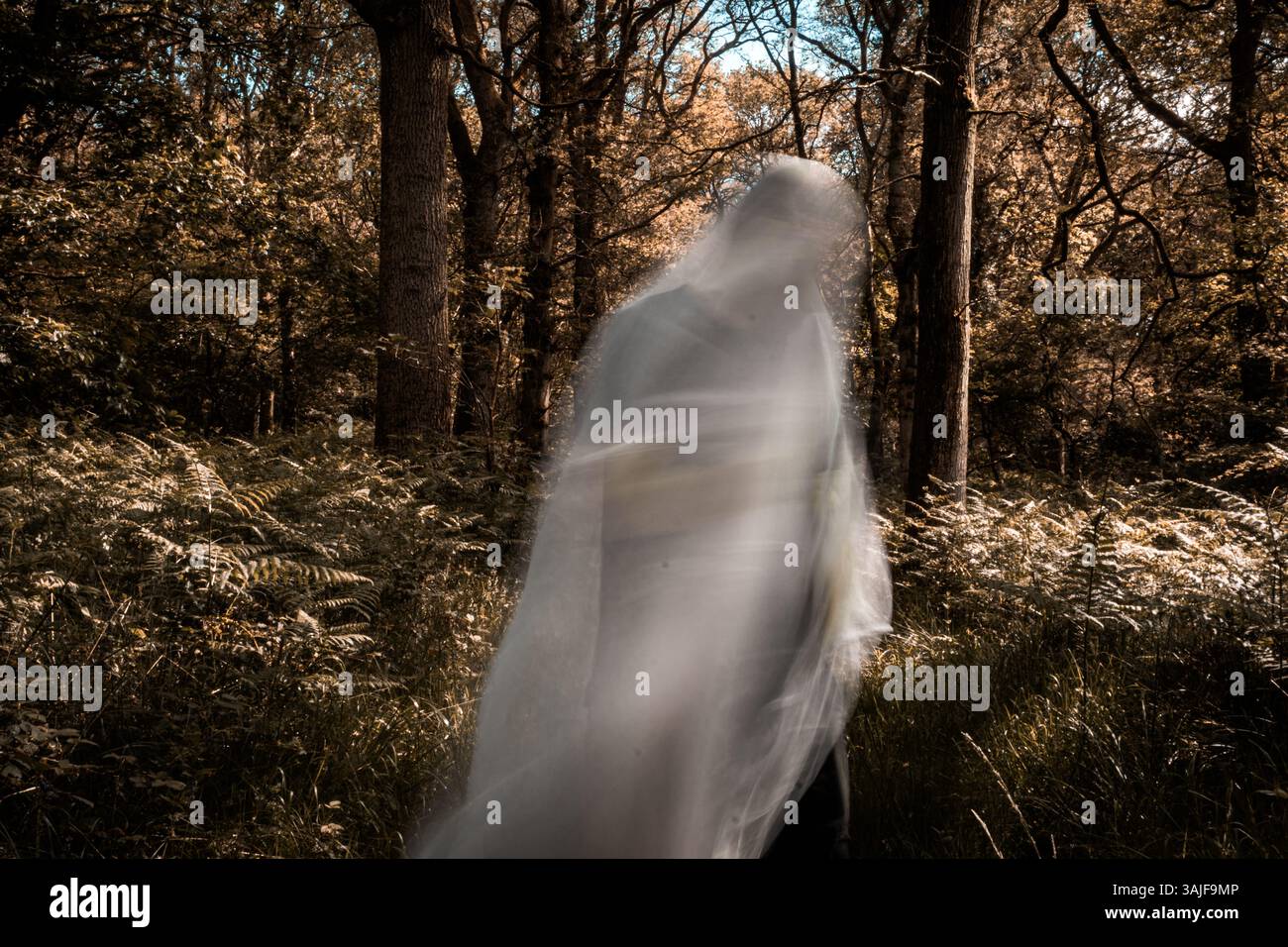 A nightmare spooky blurred ghost like figure in a forest Stock Photo ...