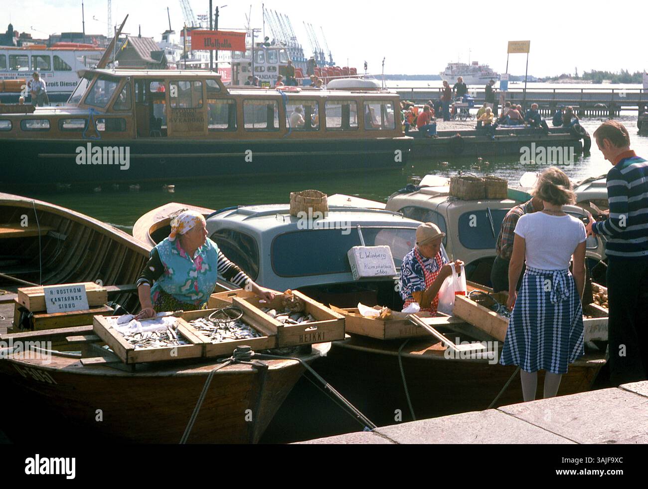 Women selling Baltic herring from boats, at the Waterfront harbour ...