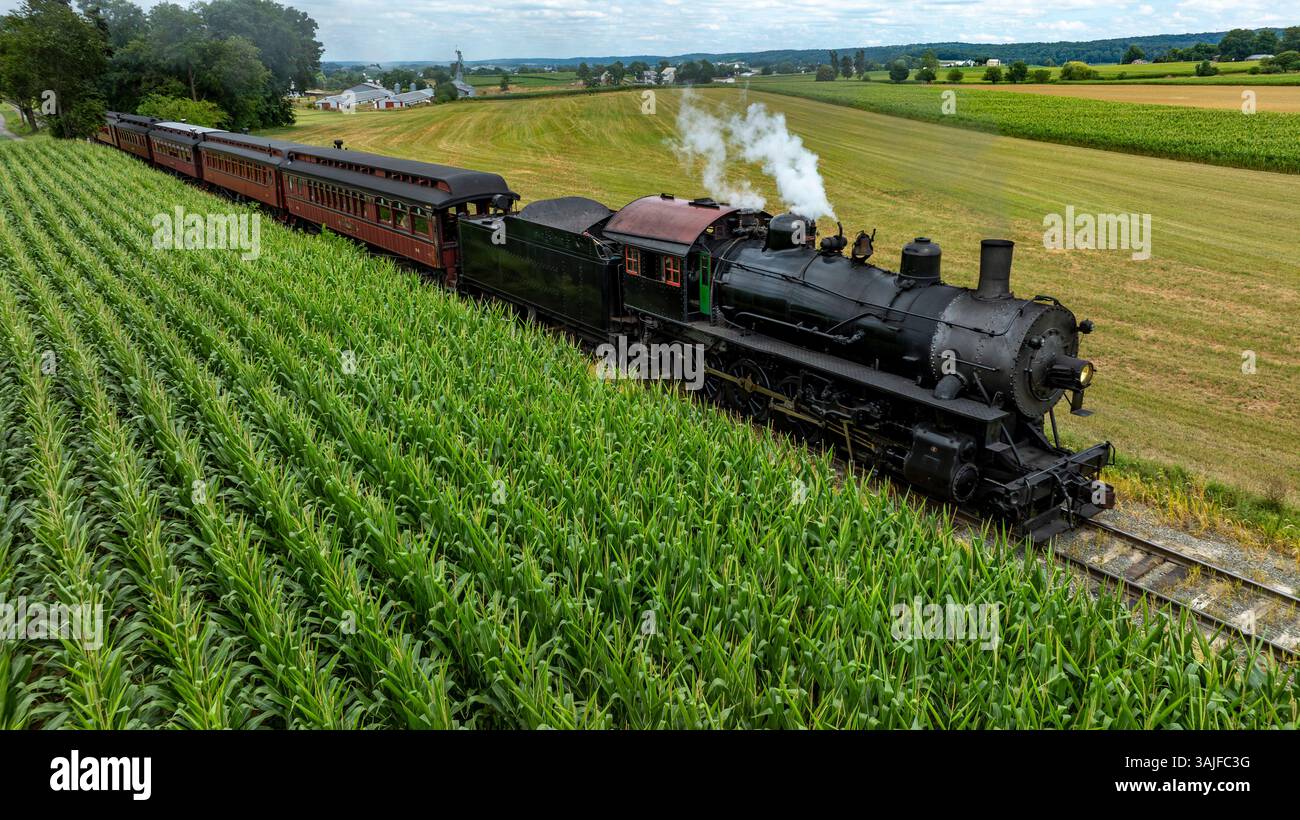 A vintage steam train chugs along railway tracks surrounded by tall ...