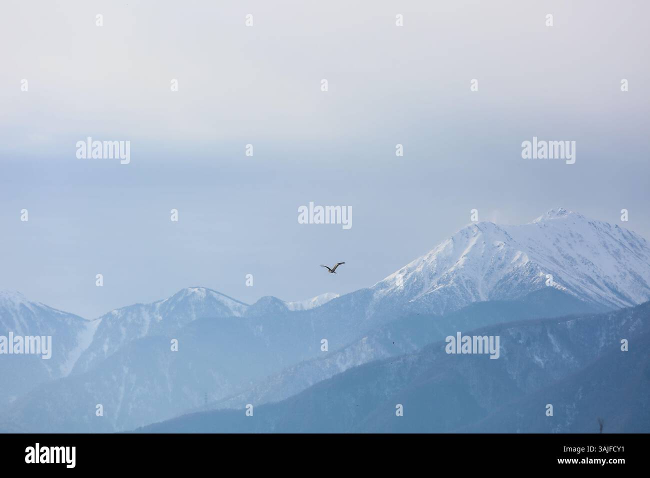 The Northern Japanese Alps Stock Photo - Alamy