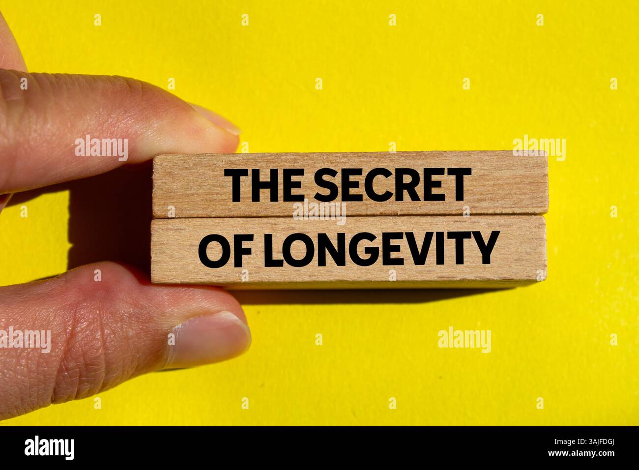 The secret of longevity message written on wooden blocks on yellow ...