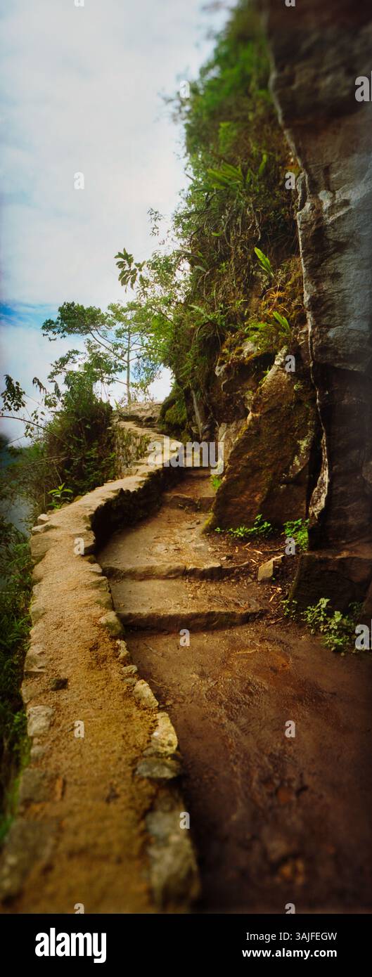 Inca Trail at the mountainside, Machu Picchu, Cusco Region, Peru Stock ...