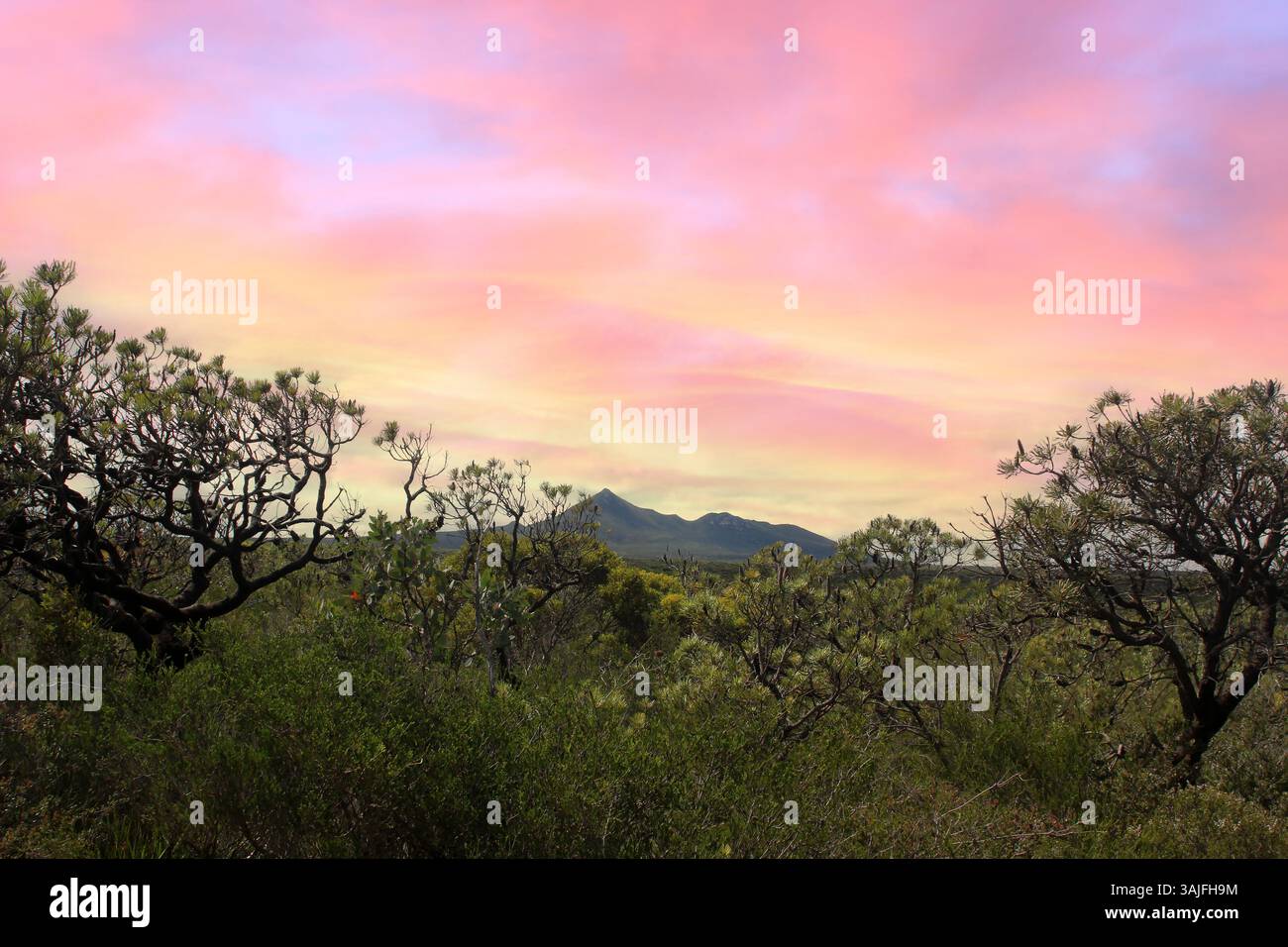 View at West Mount Barren in the Fitzgerald River National Park ...