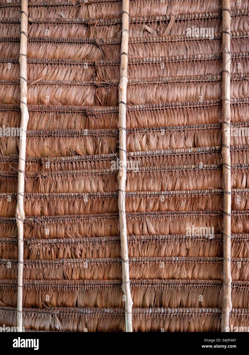 Ticuna tribe hi-res stock photography and images - Alamy