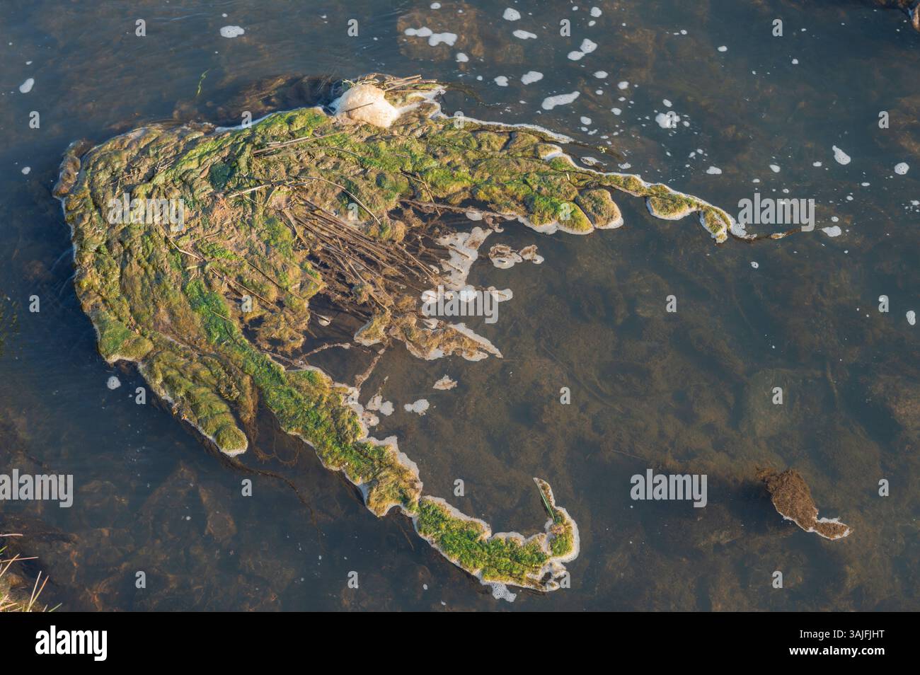 Foam on water filamentous hi-res stock photography and images - Alamy