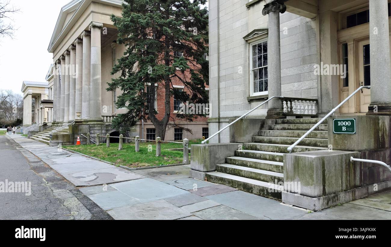 Porticos and columns of the 19th-century historic buildings of the ...
