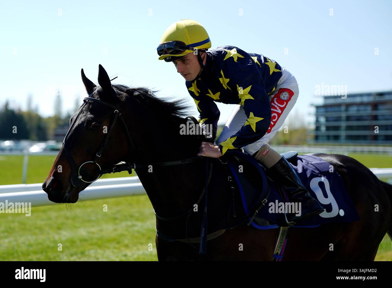 Ten Cuidado ridden by Tyler Heard at Newbury Racecourse. Picture date ...