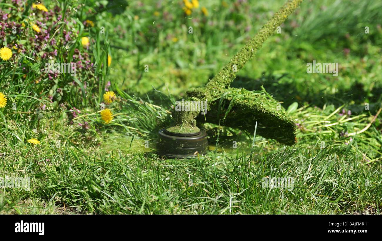 Grass trimmer cutting lush green lawn grass blades, selective focus ...