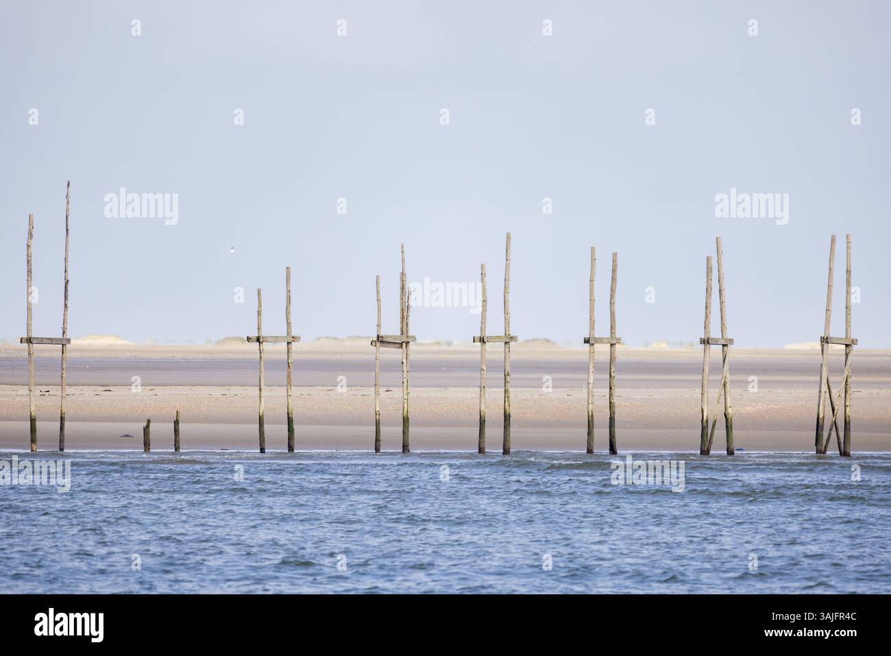 A serene landscape featuring wooden poles rising from calm waters ...