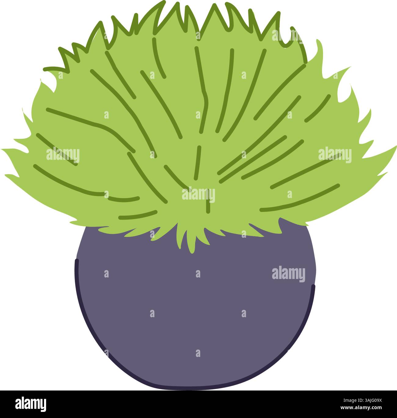 arrangement artificial plant cartoon vector illustration Stock Vector ...