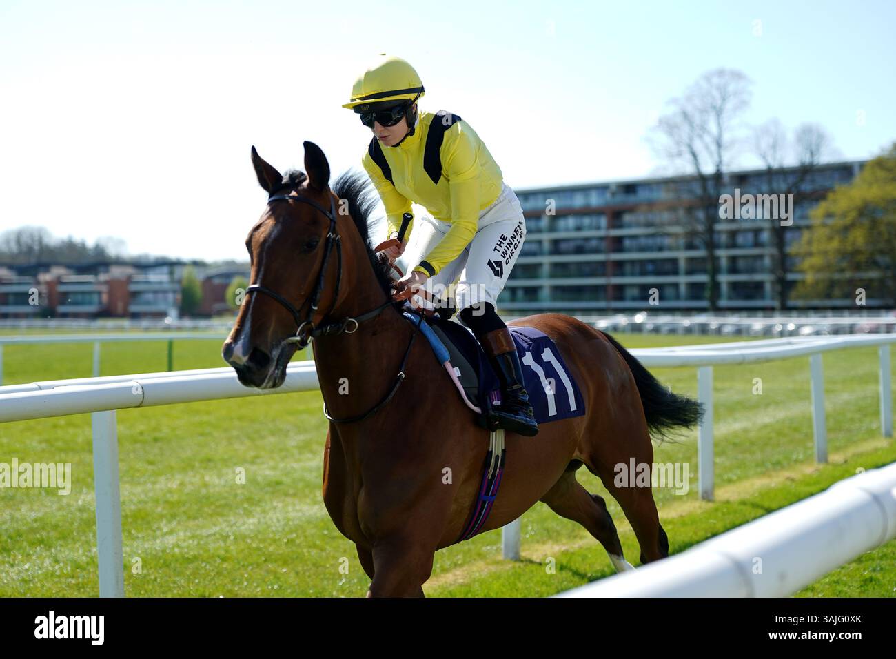 Woroodd ridden by Saffie Osborne at Newbury Racecourse. Picture date ...