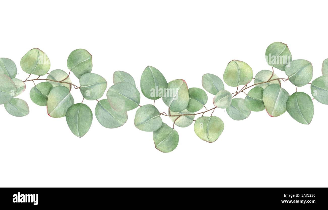 Green eucalyptus branches horizontal seamless watercolor banner ...