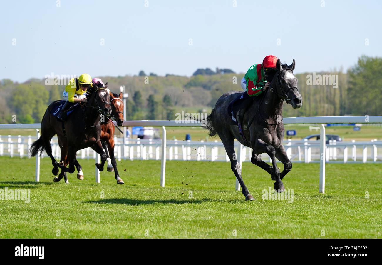 Gethin ridden by jockey Callum Rodriguez coming home to win the Darley EBF Novice Stakes at ...