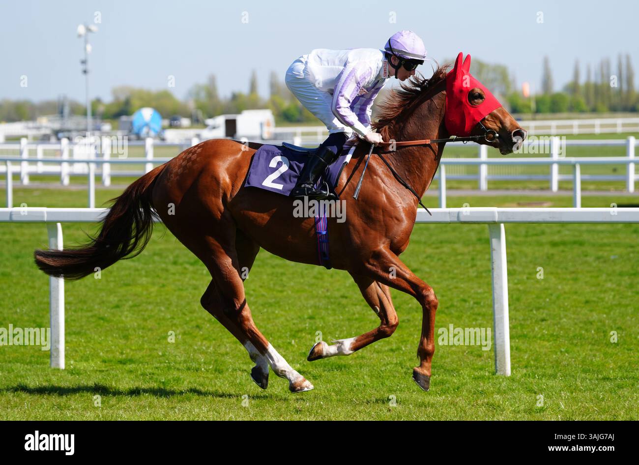 Lady Randolph ridden by jockey Callum Shepherd going to post before the ...