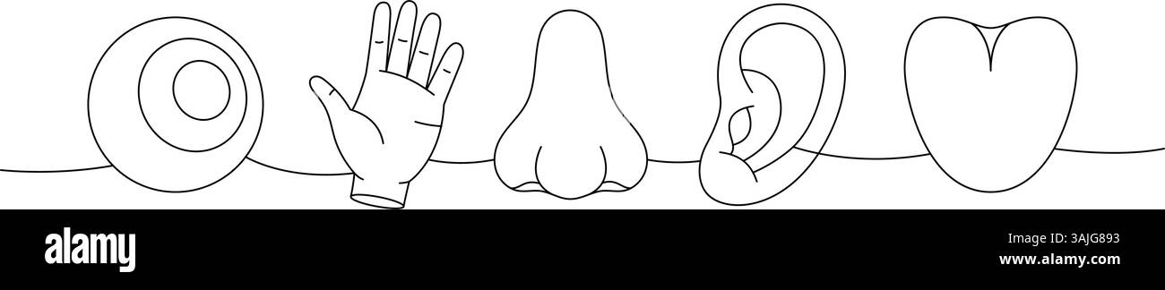 Five senses of a human one line continuous drawing. Vision, smell ...