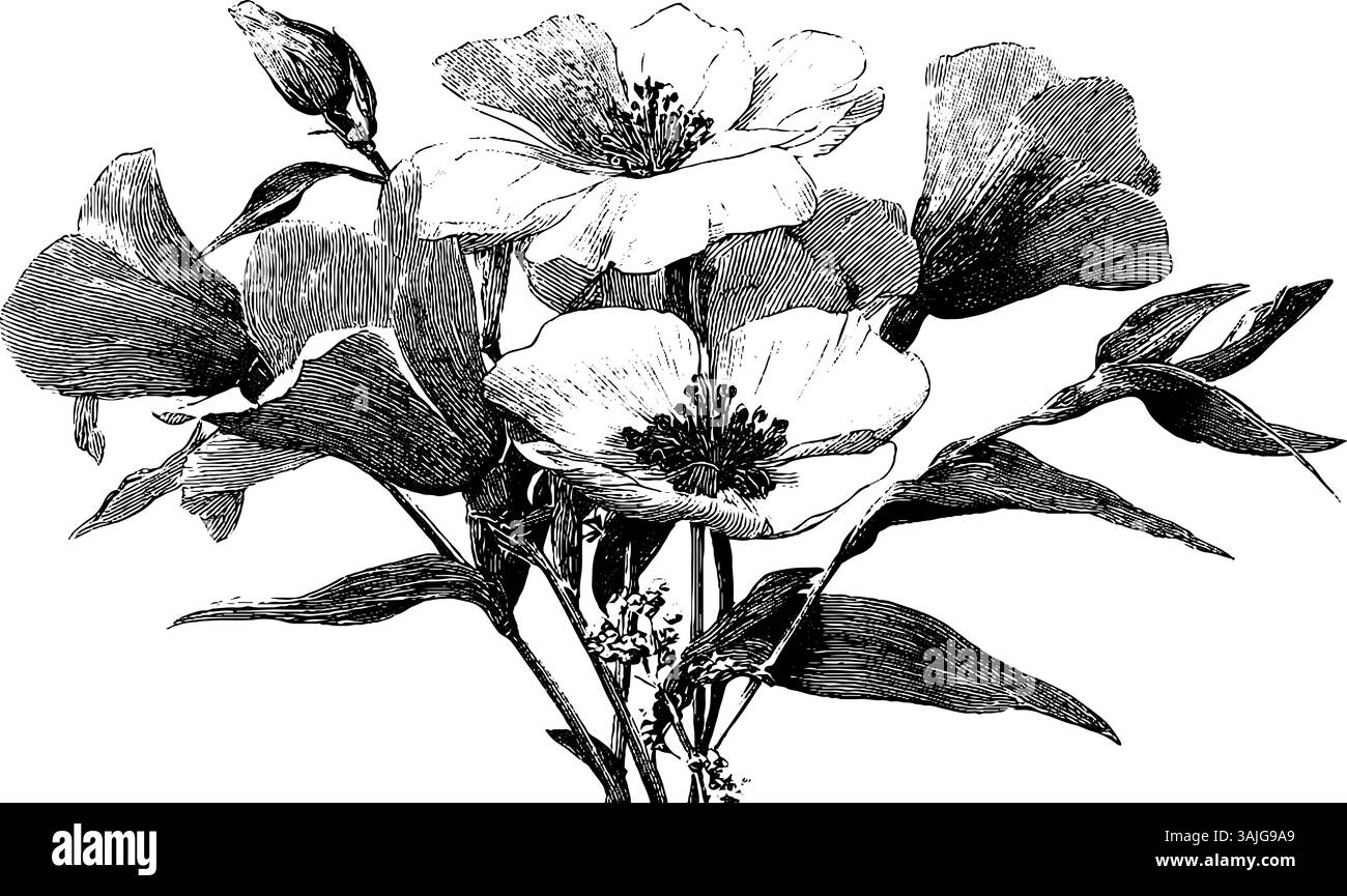 Intricate engraved bouquet of wildflowers for nature-inspired designs ...
