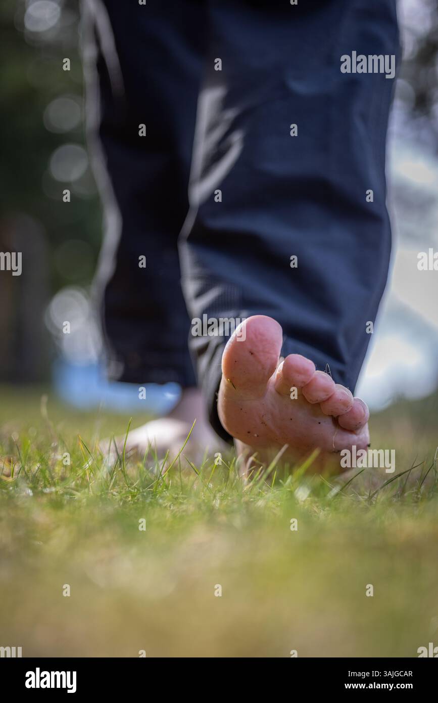 Human feet of an adult male walking barefoot in a forest as a form of ...