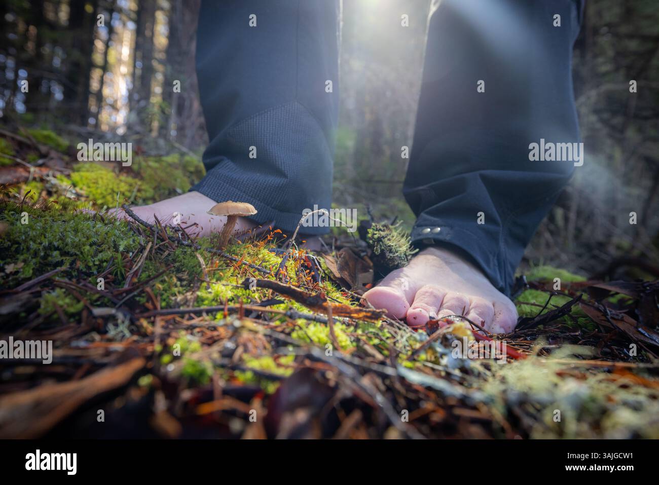 Human feet of an adult male walking barefoot in a forest as a form of ...