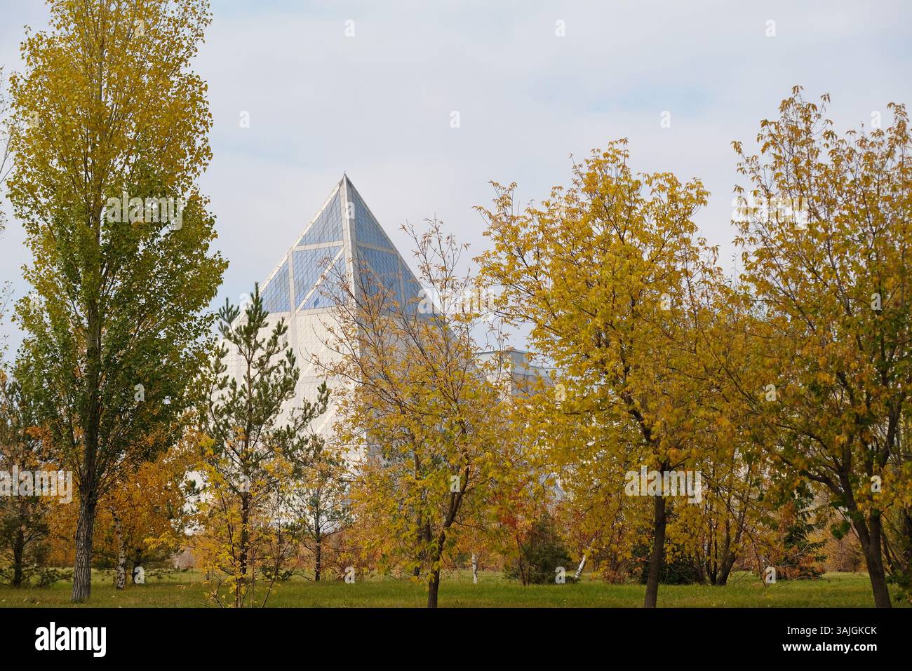 Square with different trees on the background of the pyramid Palace of ...