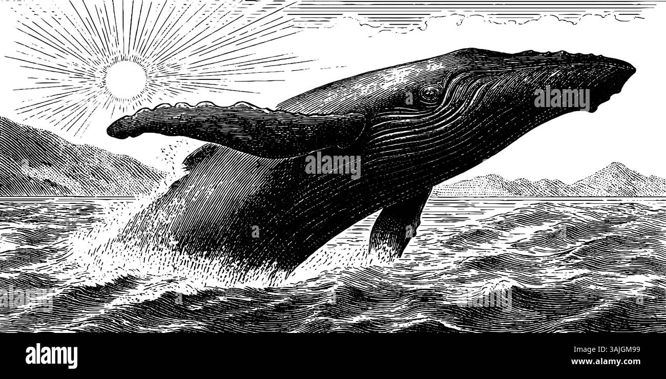 Engraved illustration of breaching whale in oceanic landscape with ...