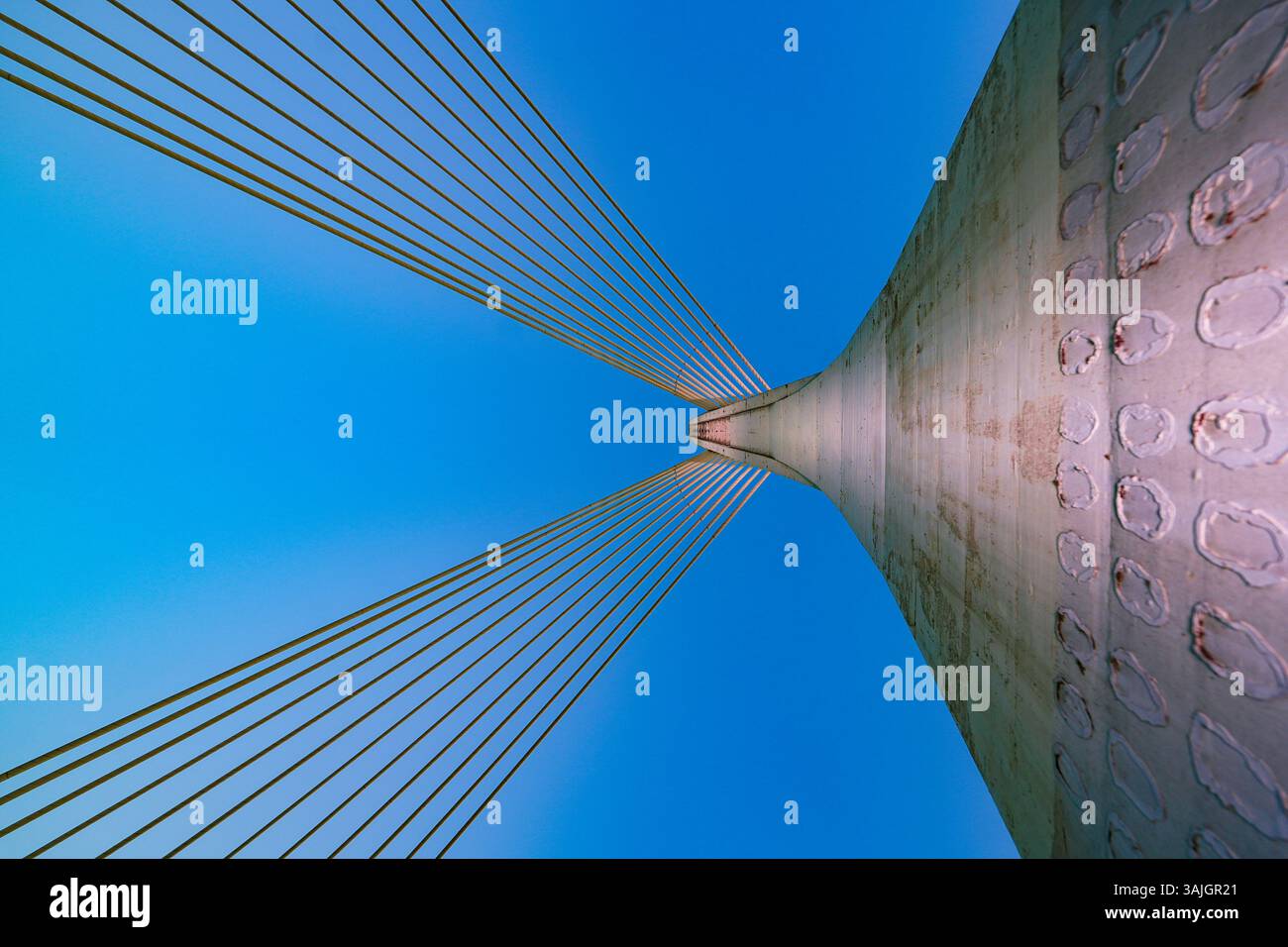 Millenium Bridge (Most Milenijum), a cable-stayed bridge that spans the ...
