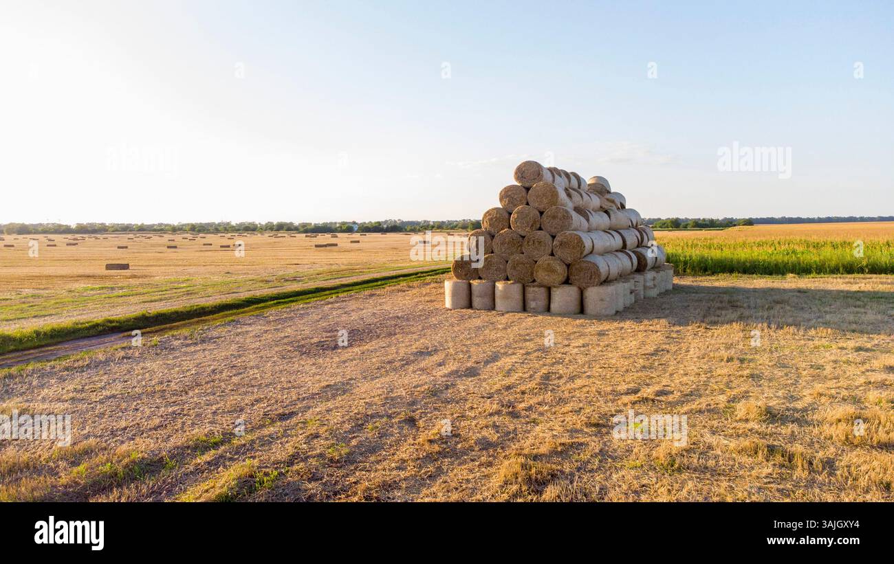 Many bales compressed dry hi-res stock photography and images - Alamy