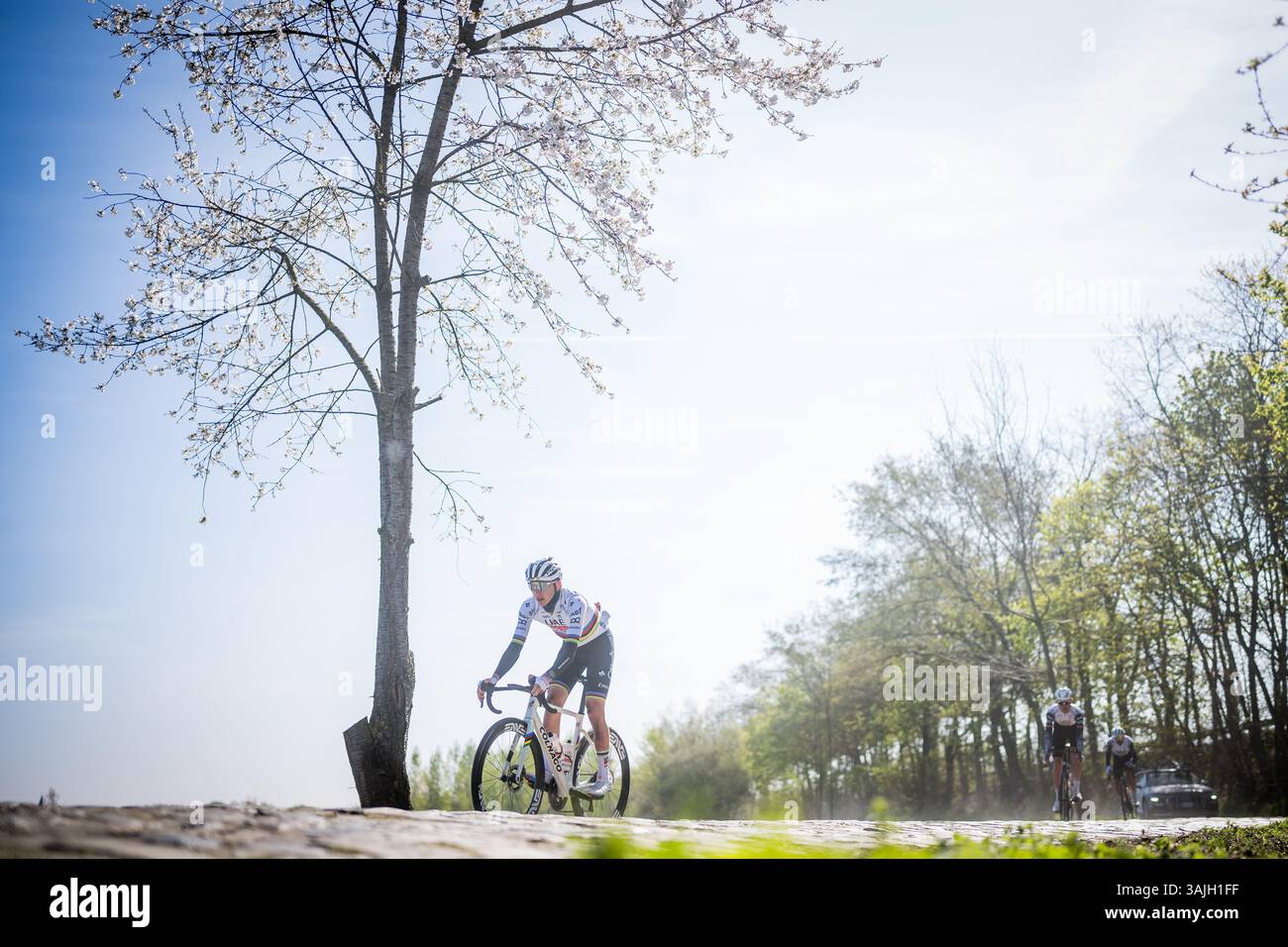 Slovenian Tadej Pogacar of UAE Team Emirates pictured in action during ...