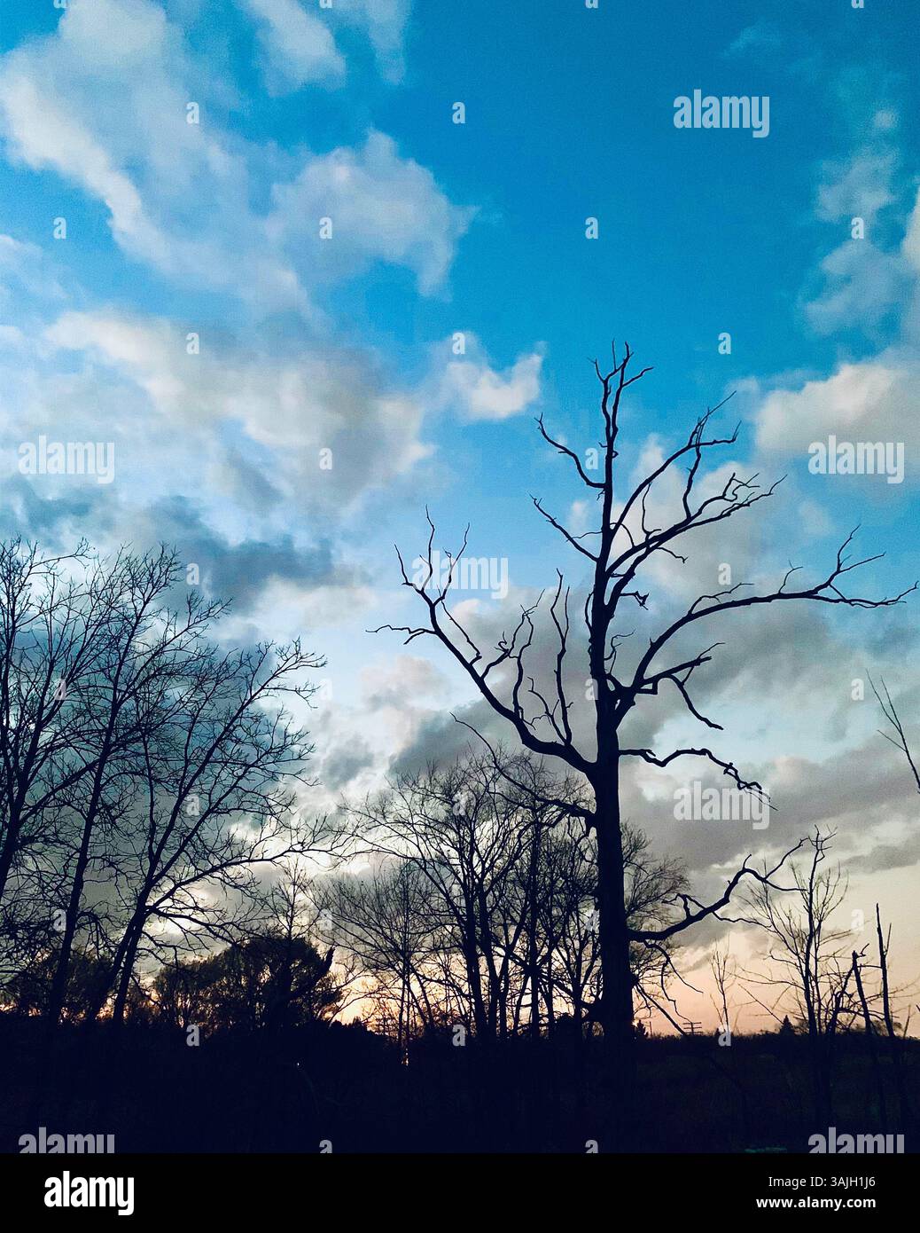 Winter dusky blue sky hi-res stock photography and images - Alamy