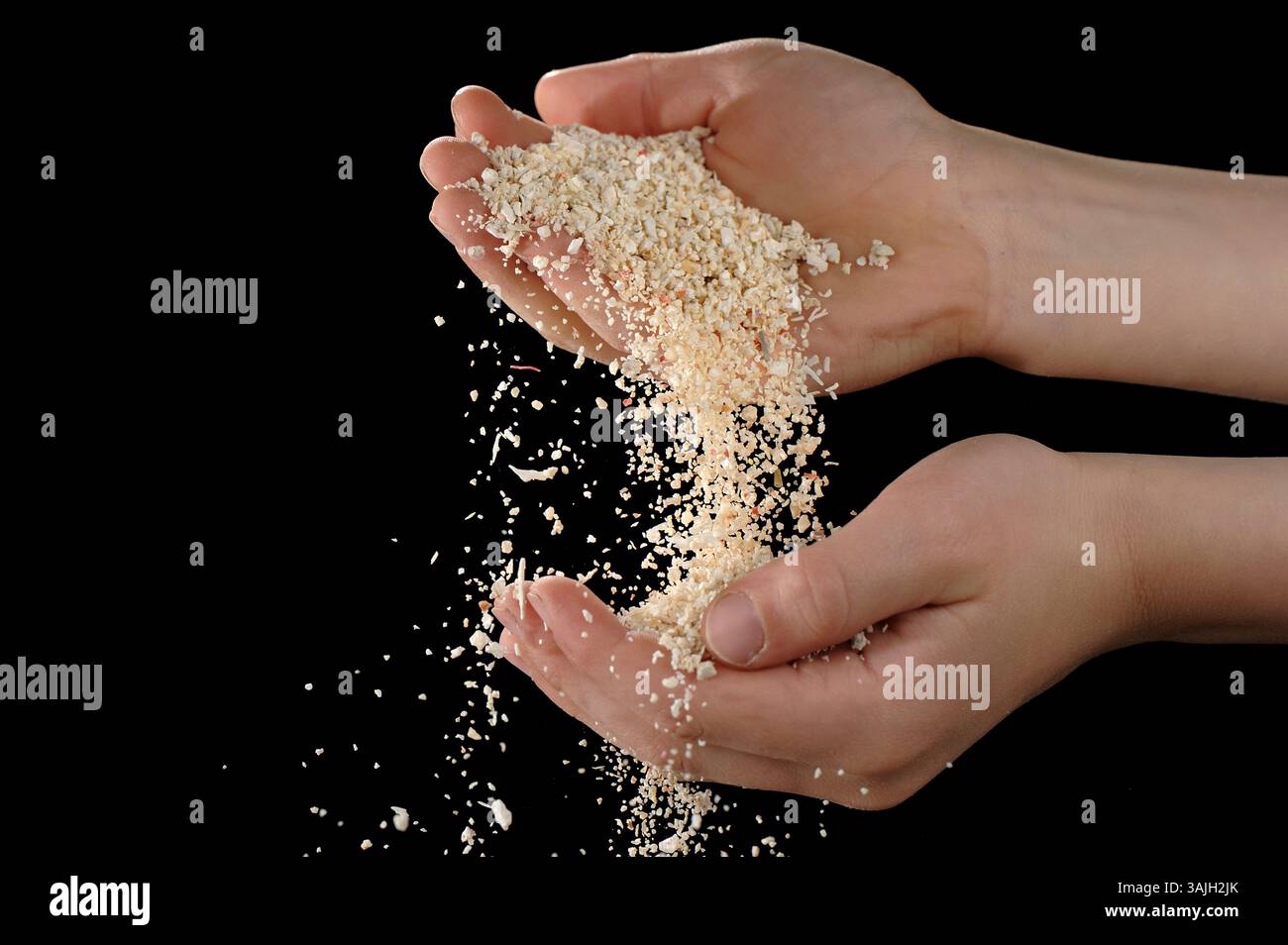 This handful of white sand from a beach in Raja Ampat, Indonesia ...