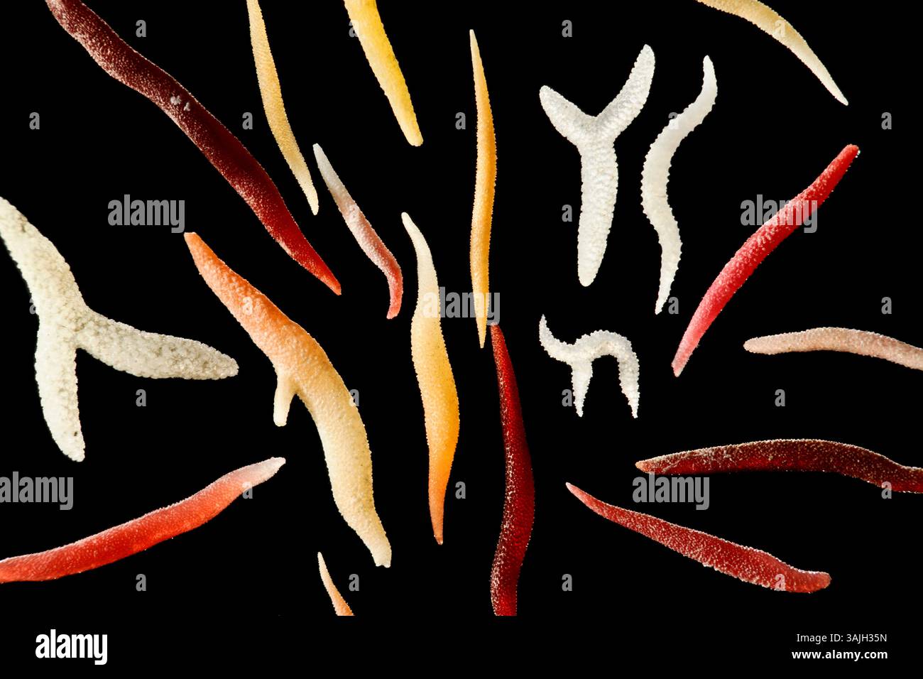 Microscopic shot small particles hi-res stock photography and images - Alamy