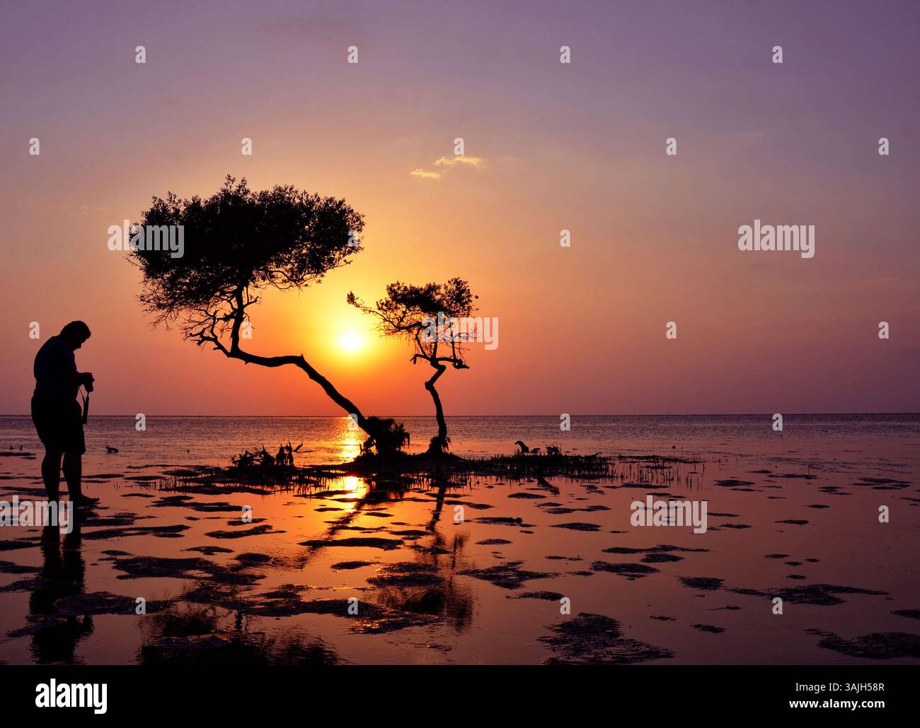 Number can play from hi-res stock photography and images - Alamy
