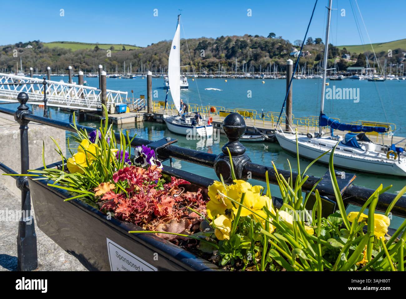 Dartmouth, UK. 11th Apr, 2025. Tulips and spring flowers on display on ...