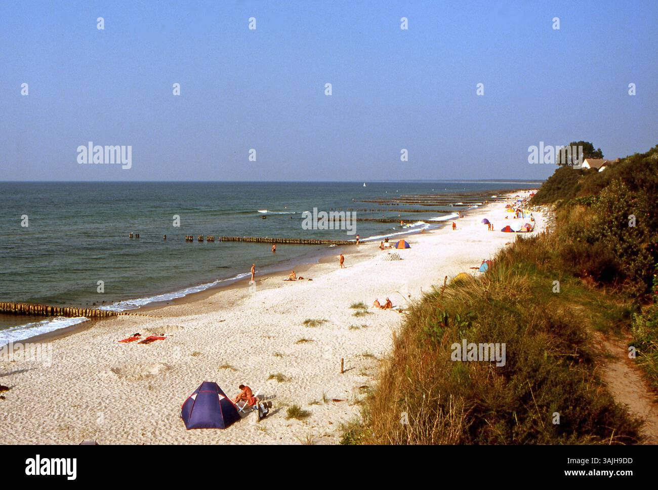 21.08.2002 Ahrenshoop Deutschland/ Mecklenburg Vorpommern/ Ostseeküste ...